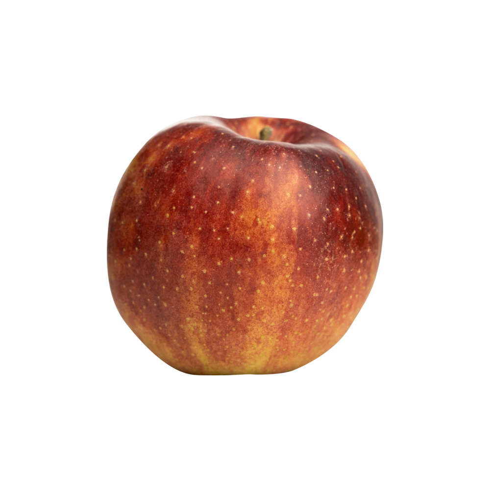 Elstar - Pommes et poires de Savoie